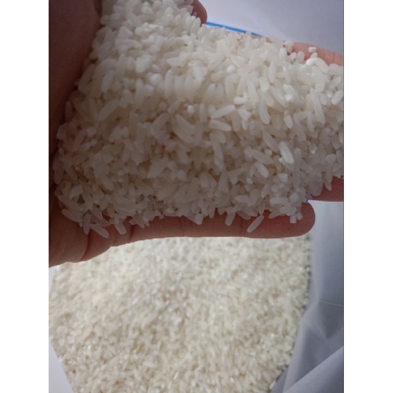 Jual Beras ,Beras segar hasil panen/Beras Pulen/Beras 1kg/Beras 2.5kg ...