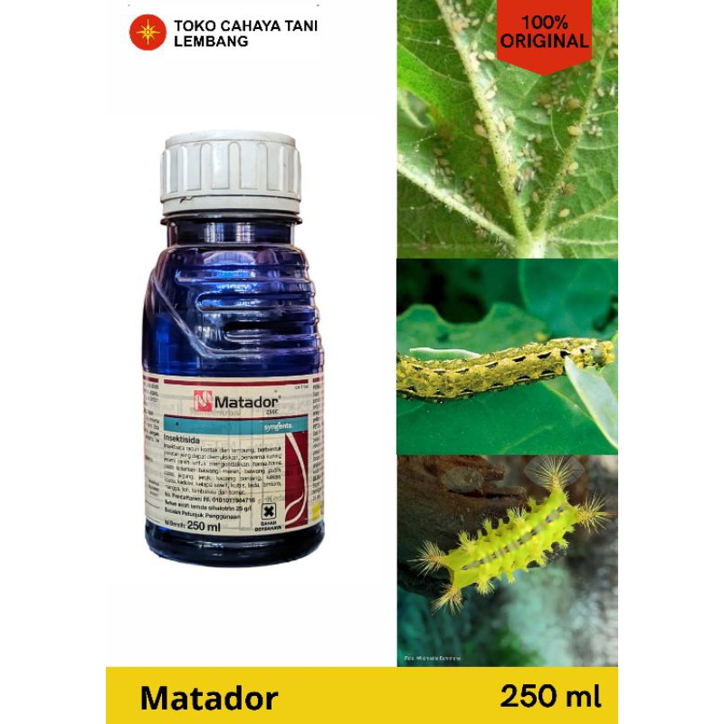 Jual matador insektisida pembasmi ulat grayak, ulat api, kutu loncat ...