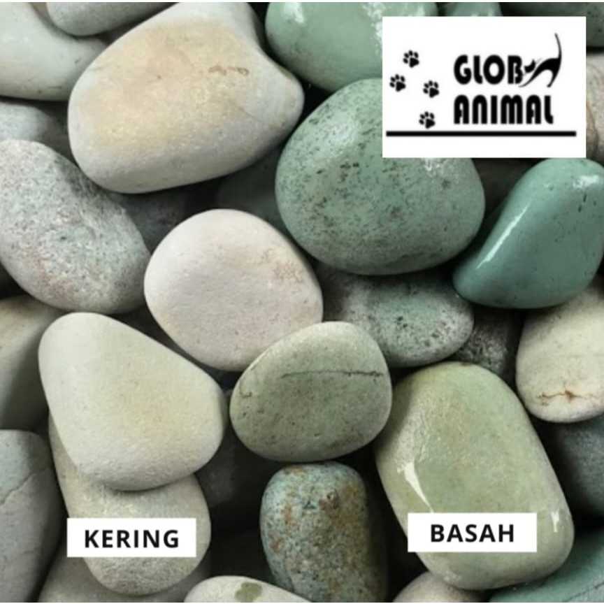 Jual BATU HIJAU batu koral hijau flores 1 KARUNG 10KG batu hias taman aquascape | Shopee Indonesia