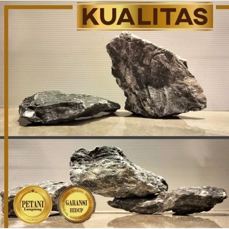 Jual Batu Seiryu Hiasan Aquarium Aquascape Ikan Hias dan Tanaman Air ...