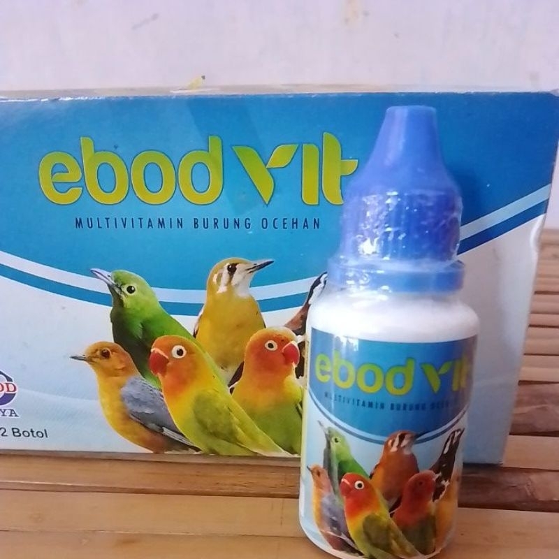 Jual EBOD VIT | Shopee Indonesia