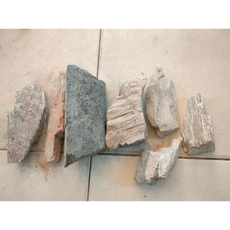 Jual batu fosil batu hias batu hiasan aquascape aquarium 1 kg batu ...