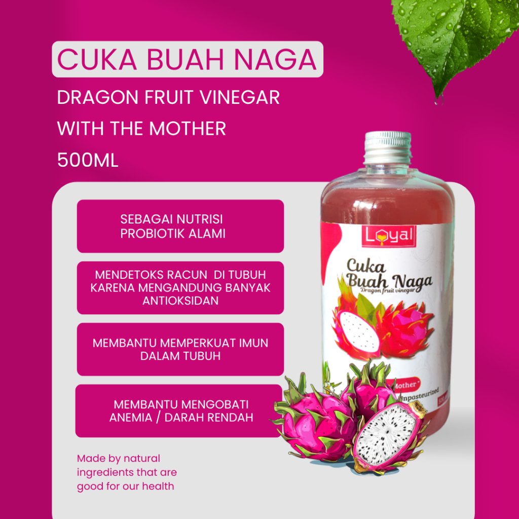 Jual Cuka Buah Naga Original 500ml With the Mother - Dragonfruit ...