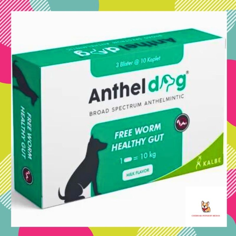 Jual Obat Cacing Anjing Per Strip - Anthel Dog Kalbe Farma per strip ...