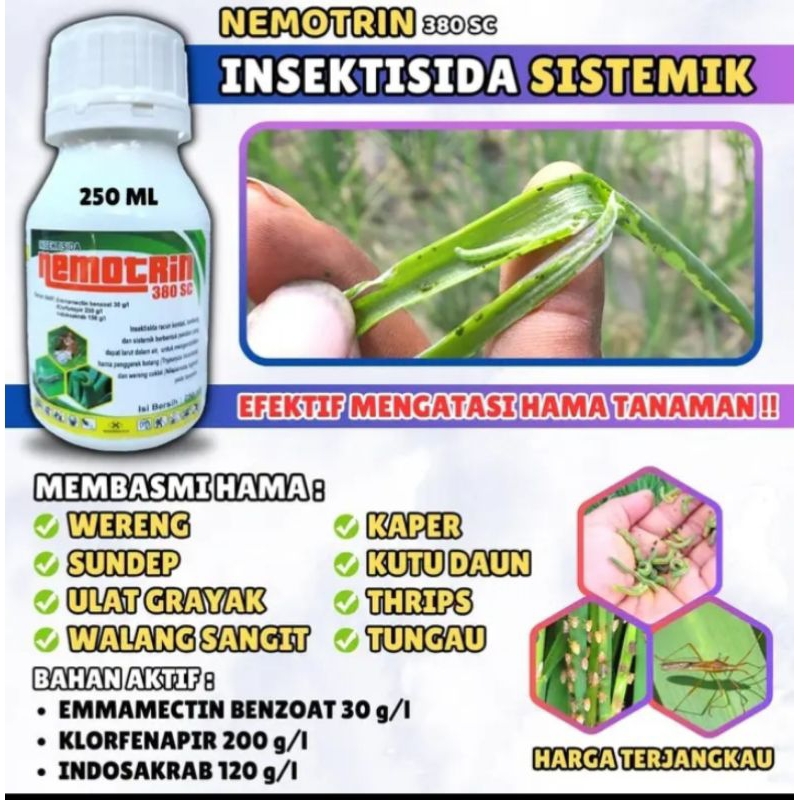 Jual INSEKTISIDA / INSEKTISIDA CAIR / INSEKTISIDA NEMOTRIN / PENGENDALI ...