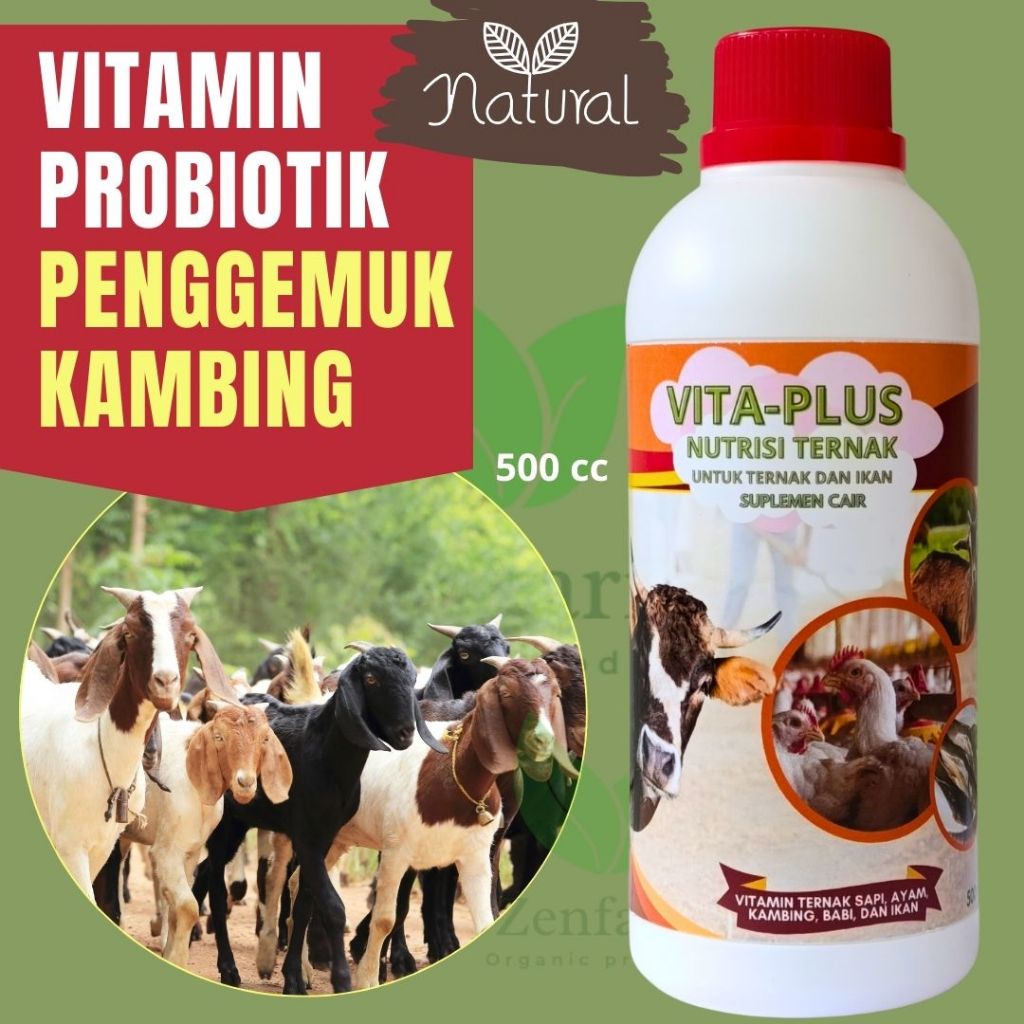 Jual 1 liter COD Obat Penggemuk Kambing Vitamin Kambing Biar Cepat ...