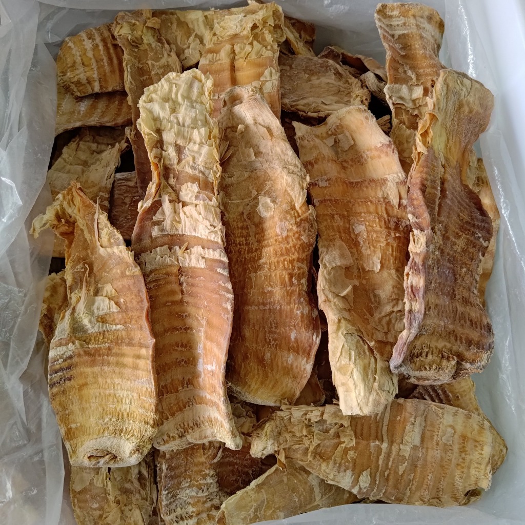 Jual Rebung Bambu Muda Kering Kualitas Tinggi 500 Gram Dried Bamboo ...