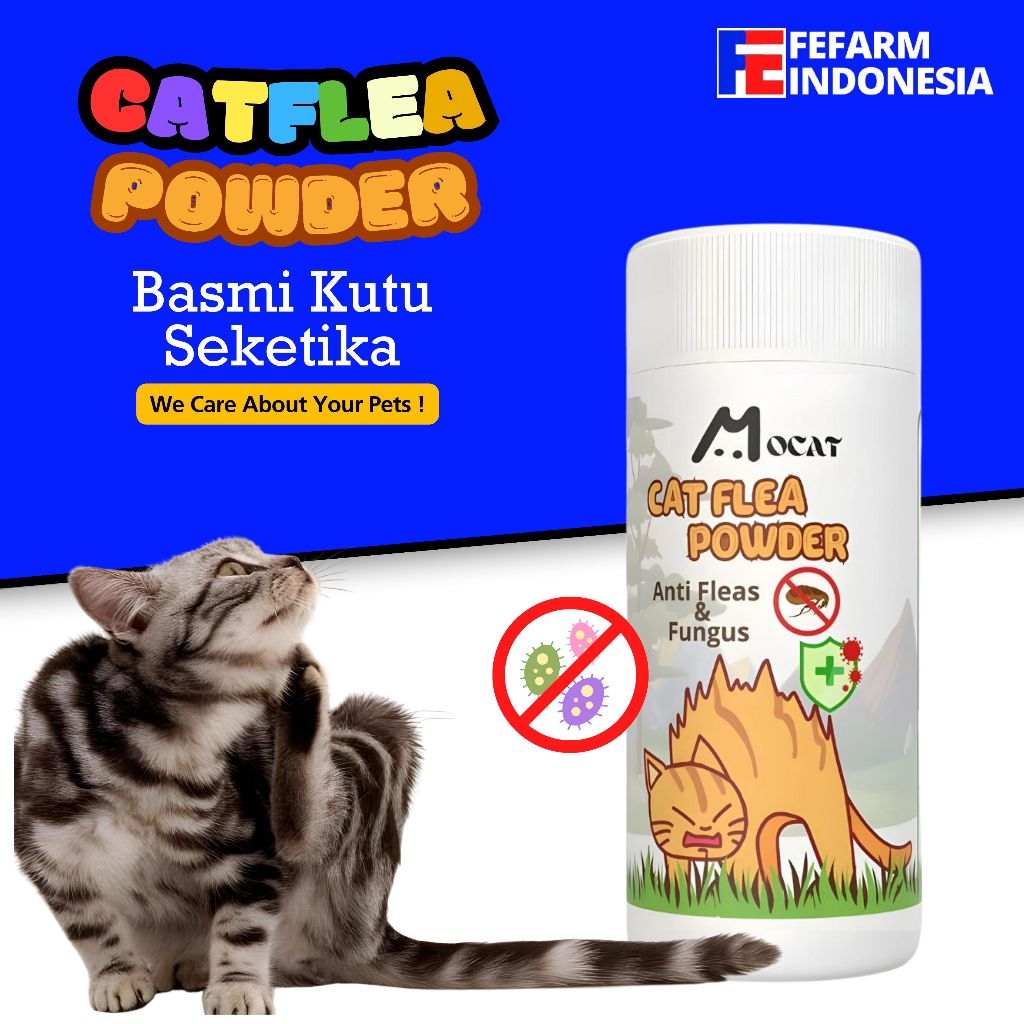 Jual Bedak Anti Kutu Kucing Anjing Mocat Obat Penghilang Ampuh Aman ...