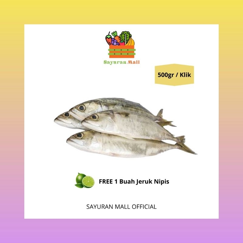 Jual 500gr Ikan Gembung Aso | Ikan Segar | SAYURANMALL | Shopee Indonesia