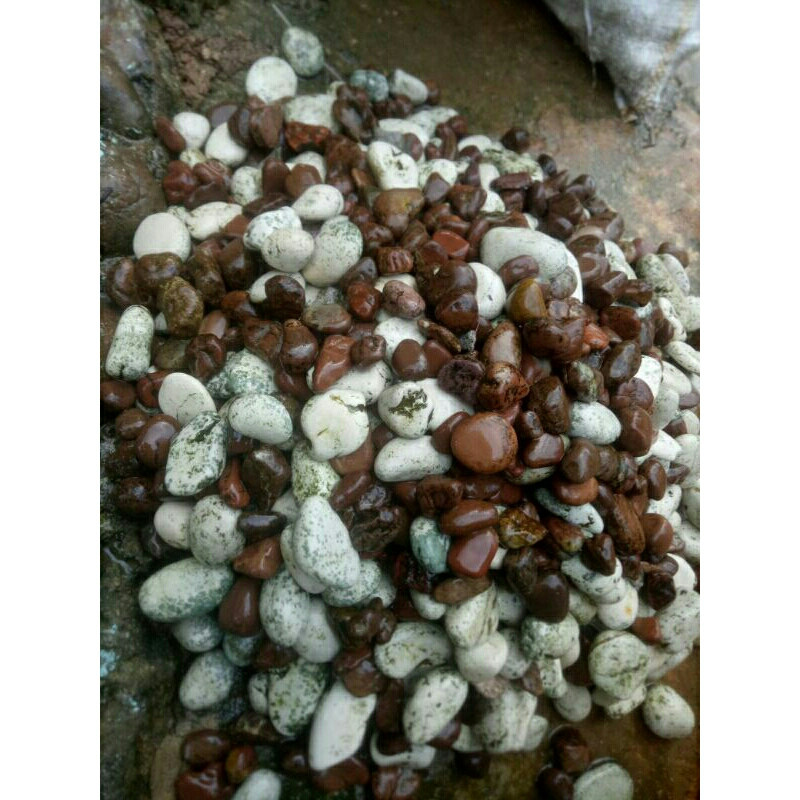 Jual MACAM-MACAM BATU. BATU KALI BUAT TERAPI. BUAT HIASAN AQUARIUM ...