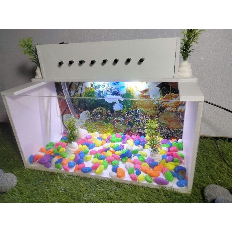 Jual AQUARIUM AKRILIK PVC FULLSET UKURAN 30*14*14 | Shopee Indonesia