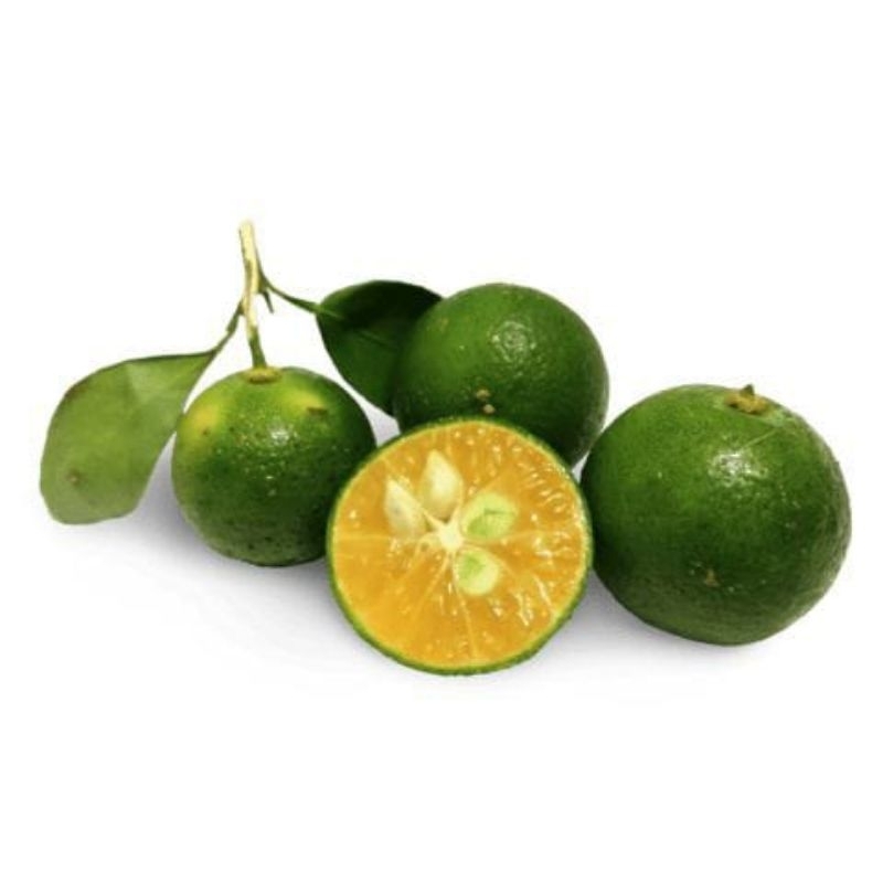 Jual jeruk peras 1kg | Shopee Indonesia