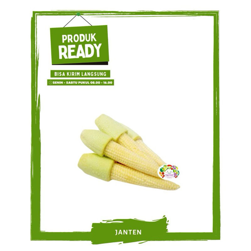Jual Janten / Jagung Muda / Sayur Sayuran Segar Ready On Mallahrizwa ...