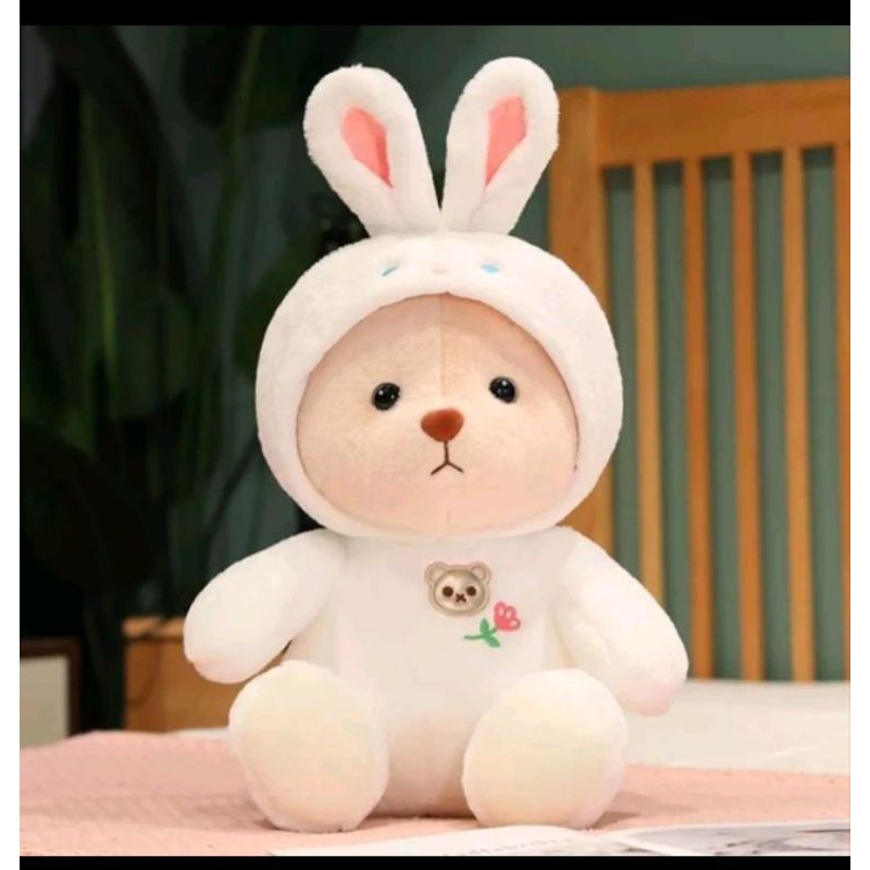 Jual Boneka babi dot dinosaurus bear custome dinosaurus mewah untuk ...