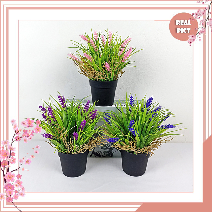 Jual UNICO Tanaman Hias Pot Bunga Plastik Rumput Sintetis Bunga Hias ...