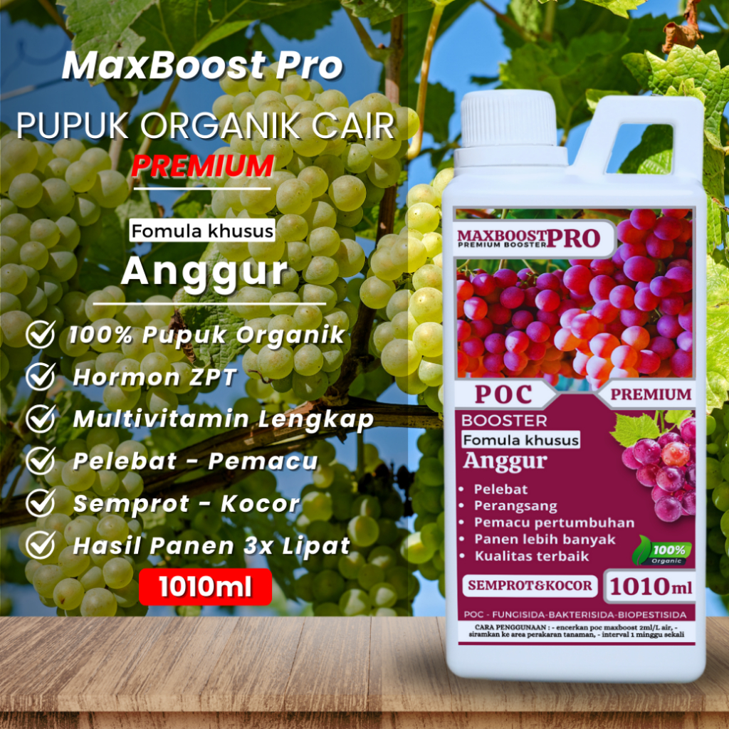 Jual Pupuk Organik Cair Tanaman Buah, Booster Buah ANGGUR Tanaman Anggur, Poc Kompos Melebatkan ...