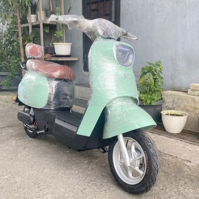 Jual Sepeda Listrik Saige Cameron Power 800W Elektrik Bike Cameron ...