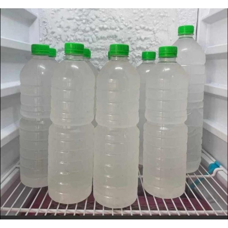 Jual air legen lontar/siwalan | Shopee Indonesia