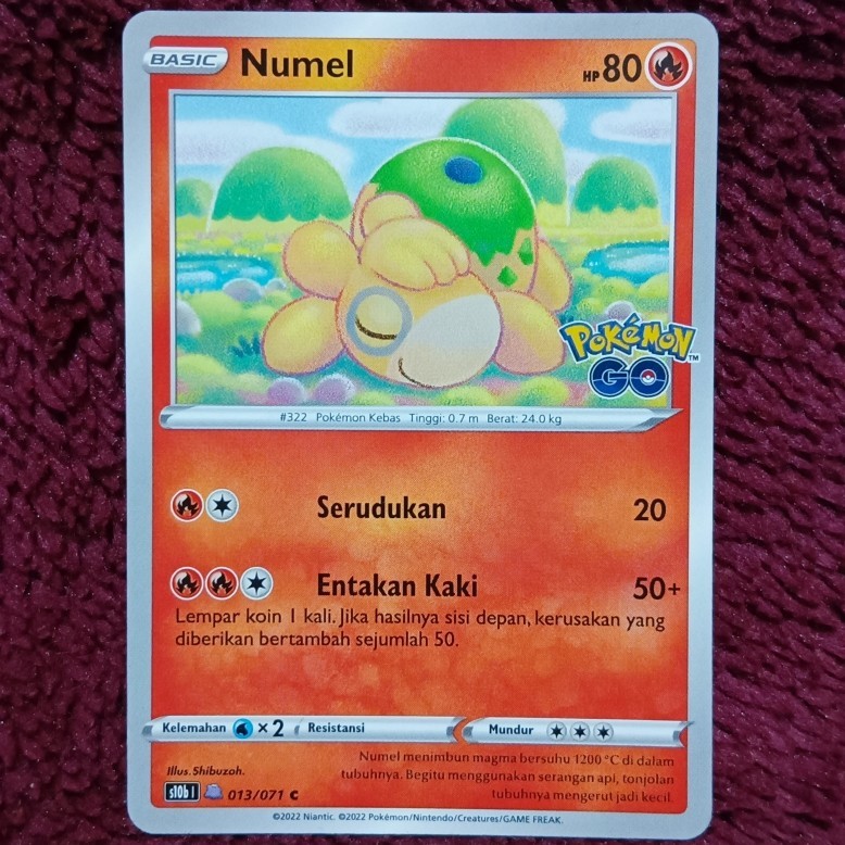 Jual Numel Ditto Pokemon Go s10b - Pokemon TCG Indonesia | Shopee Indonesia