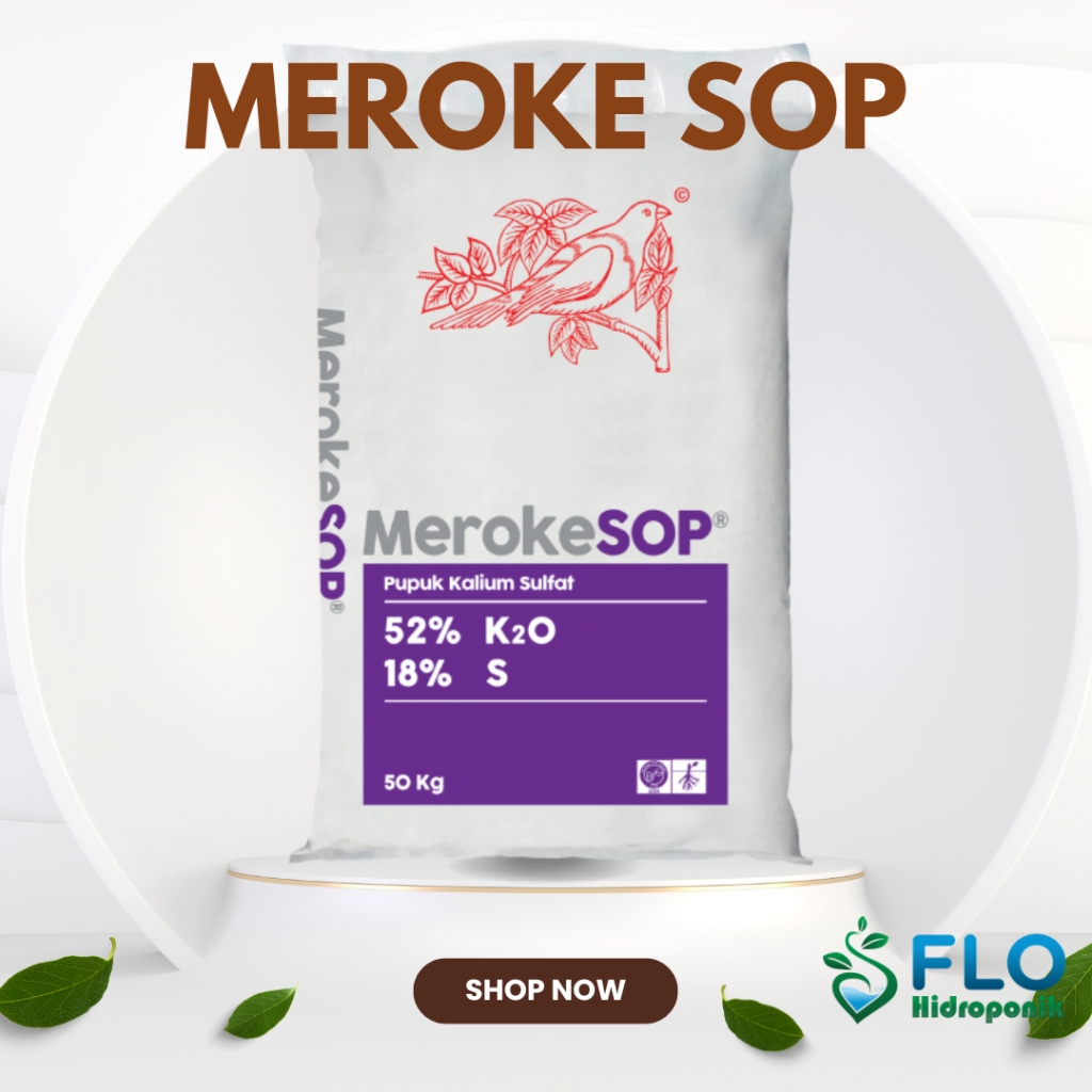 Jual Meroke SOP 1kg Kemasan Repack | Shopee Indonesia
