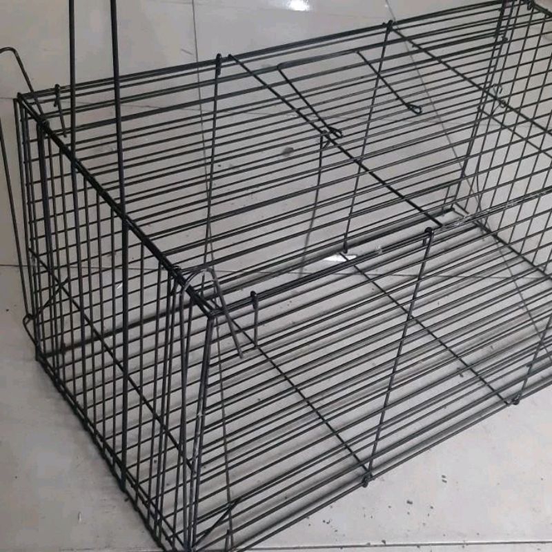 Jual Jebakan Kucing, Musang, Luwak dan Serbaguna | Shopee Indonesia