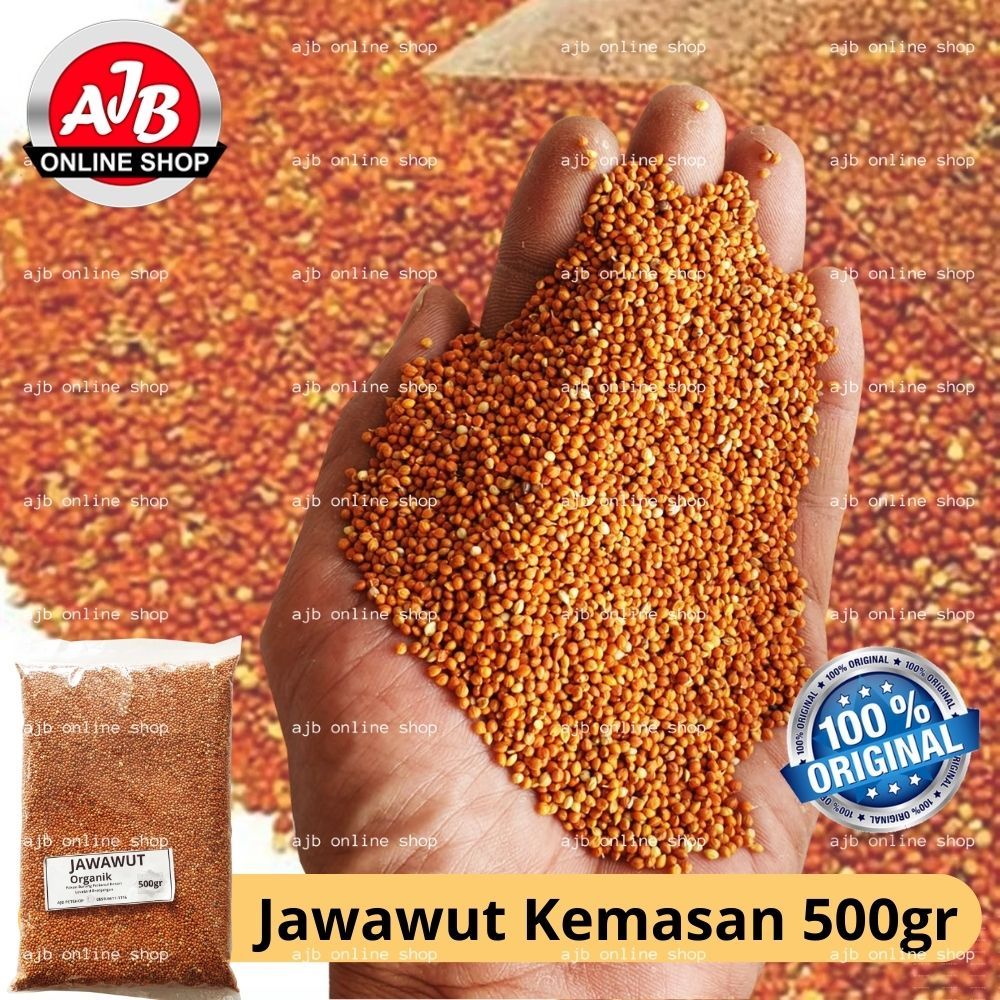 Jual Biji Jewawut Jawawut Organik Pilihan Makanan Burung Kenari ...