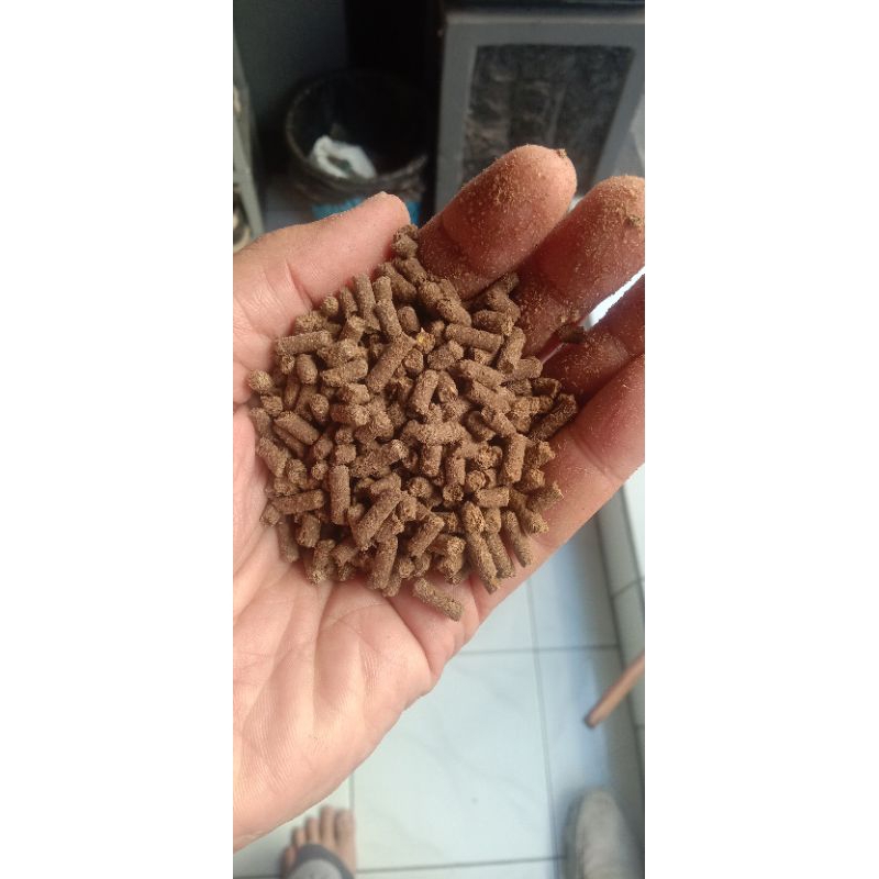 Jual pakan sapi bentuk pelet | Shopee Indonesia