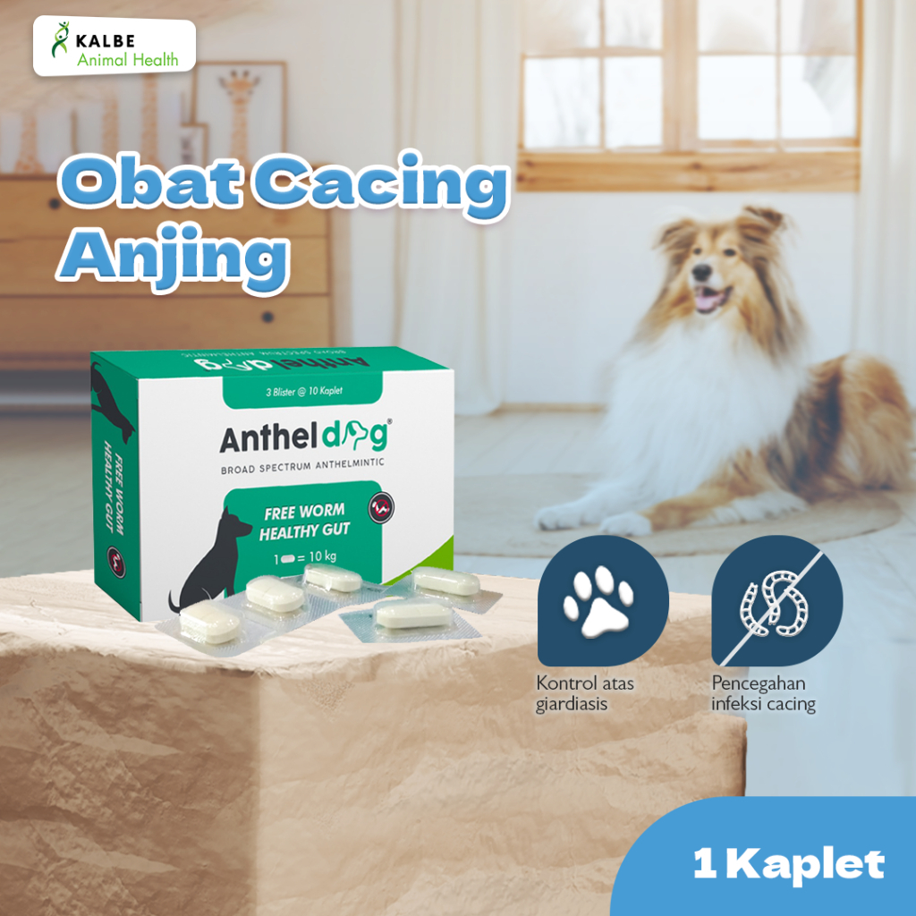 Jual Anthel Dog per 1 Tablet - Obat Cacing Anjing Ampuh by Kalbe Farma ...