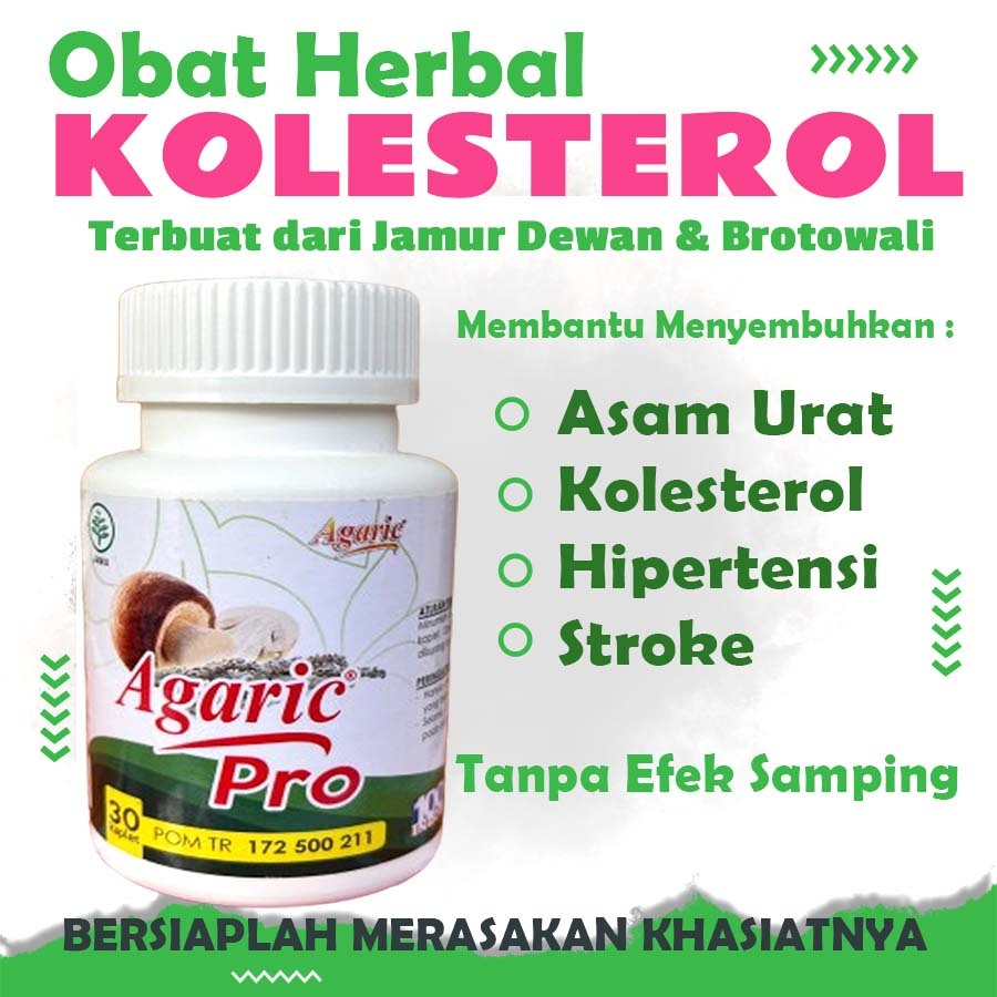 Jual OBAT HERBAL KOLESTEROL AGARIC PRO GRATIS ONGKIR | Shopee Indonesia