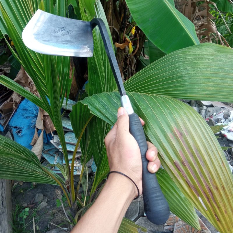 Jual Cangkul, Tengkuit, Pencong | Shopee Indonesia