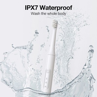 Jual Airuidu DYS01 Sonic Electric Toothbrush - Sikat Gigi Elektrik ...