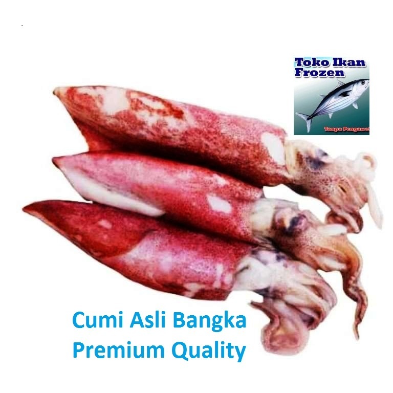 Jual CUMI asli BANGKA / Premium Quality / Frozen Fresh / 1 kg | Shopee ...