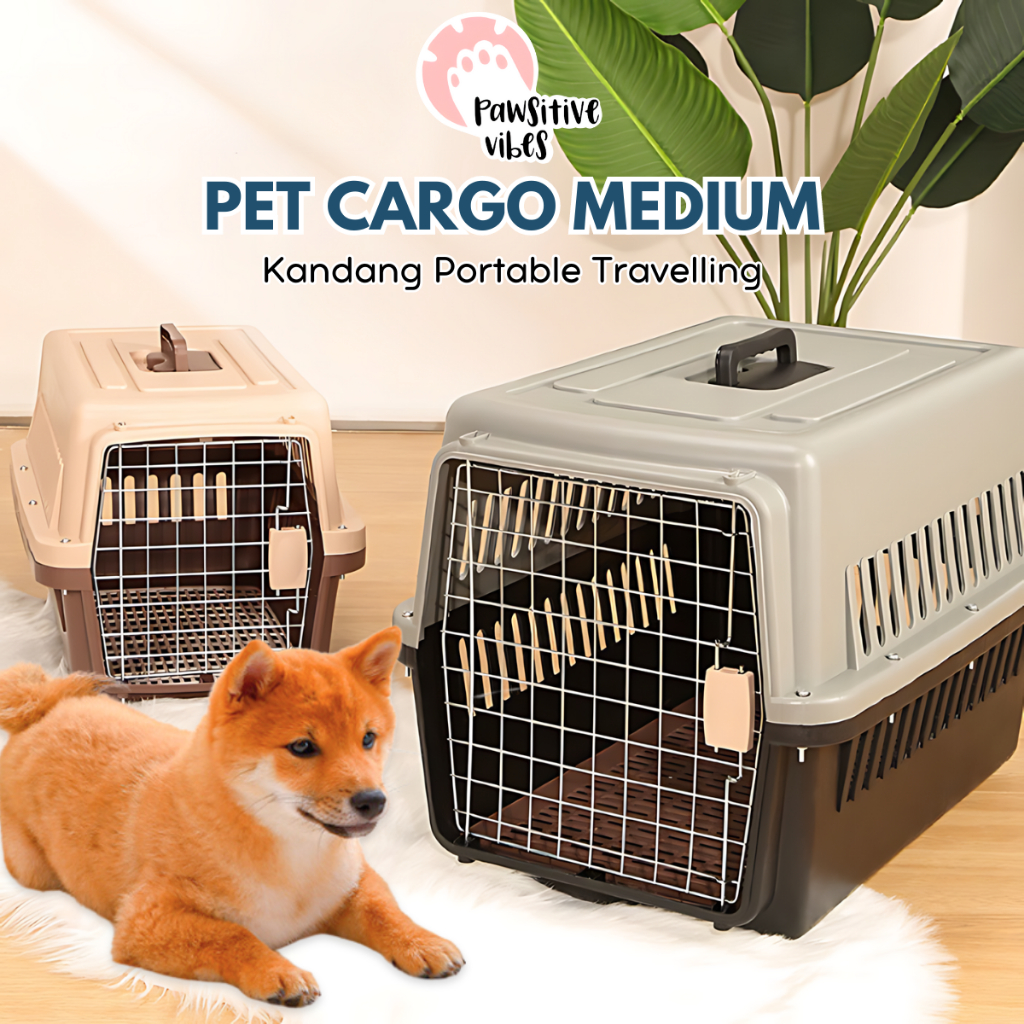 Jual Pet Cargo Kucing Anjing Medium - Pet Carrier Kelinci Anabul - Box ...