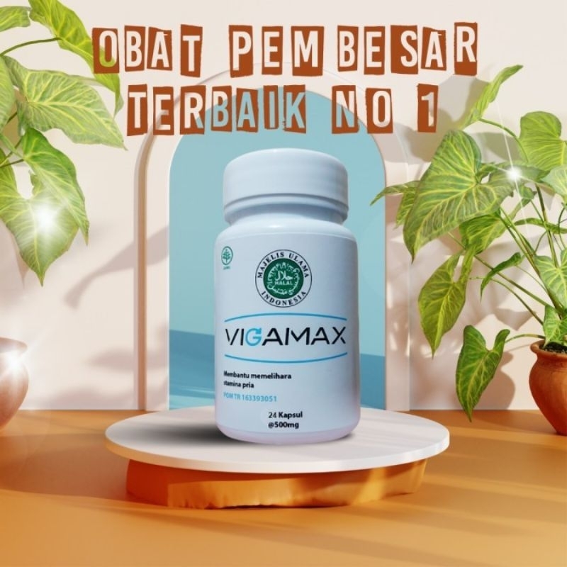 Jual VIGAMAX CAPSUL 100% BPOM ORIGINAL ASLI GARANSI SUPLEMEN HERBAL ALAMI VITALITAS STAMINA PRIA ...