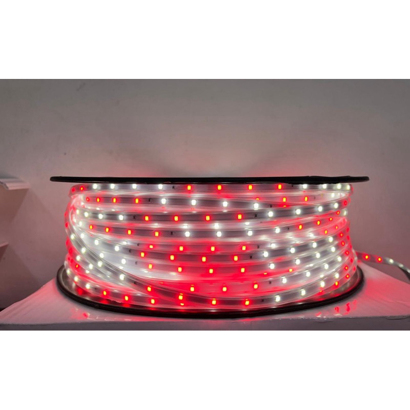 Jual Led Strip Selang Kotak RGB / Merah Putih 1 rol 100 meter / lampu ...