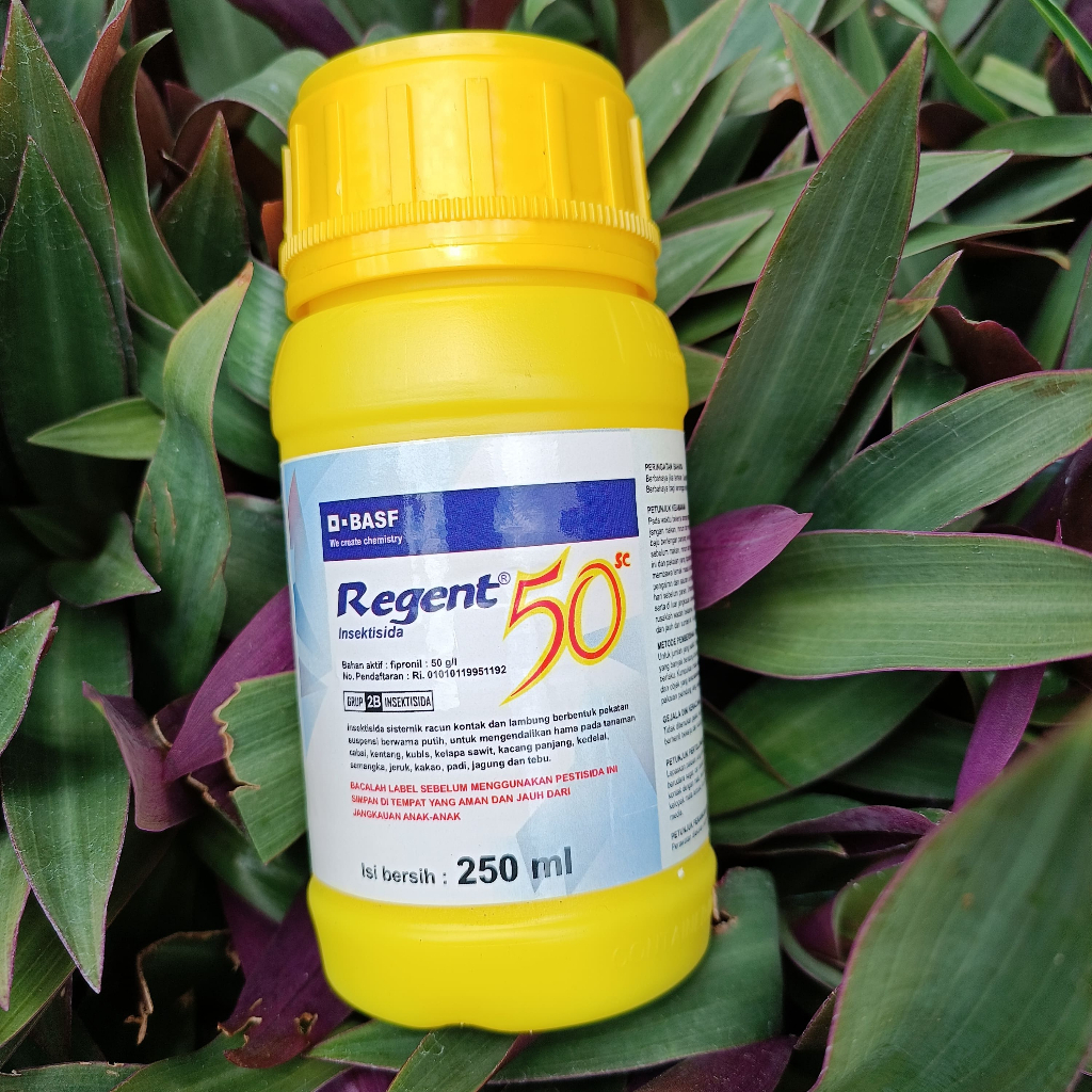 Jual Regent 50SC 250 ml Insektisida & Zat Pengatur Tumbuh ZPT ...