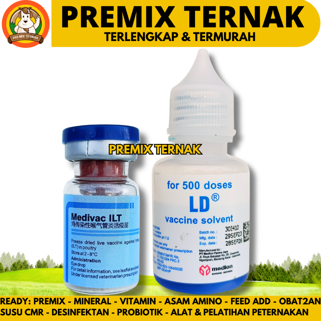 Jual VAKSIN ILT 500 DOSIS MEDION - Vaksin ILT Aktif untuk Gangguan ...