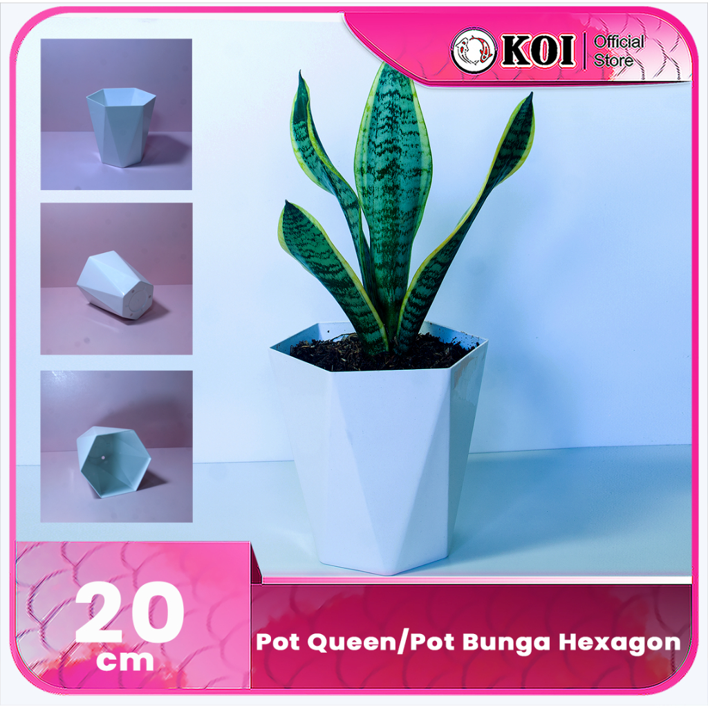 Jual Koi Official - Pot Queen Pot Tanaman Pot Bunga Hexagon Minimalis ...