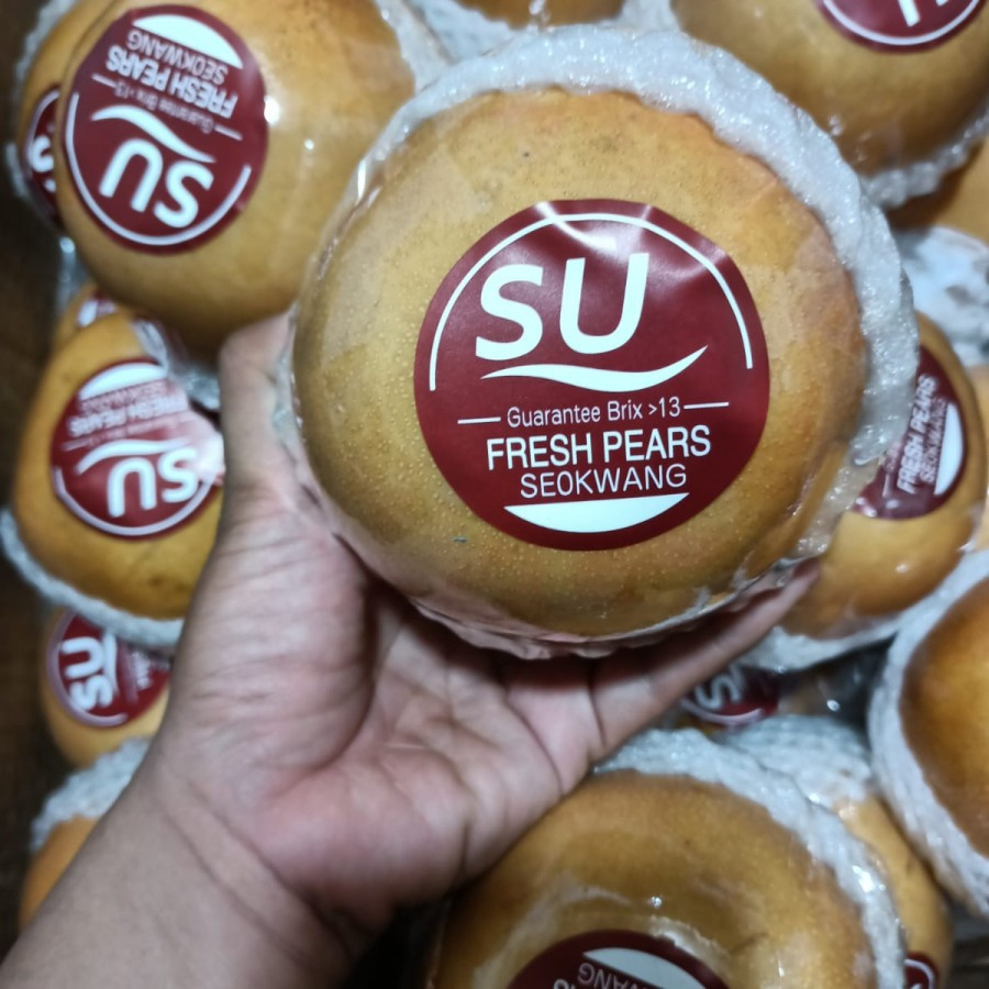 Jual BUAH PEAR SINGO KOREA SU FRESH PER KG | Shopee Indonesia