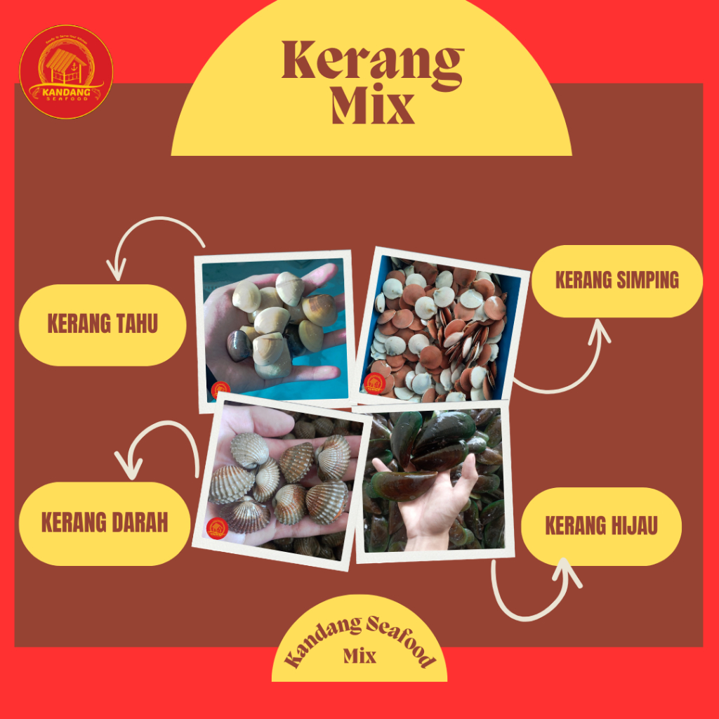 Jual Kerang Darah / Kerang Hijau / Kerang Tahu / Kerang Simping ...