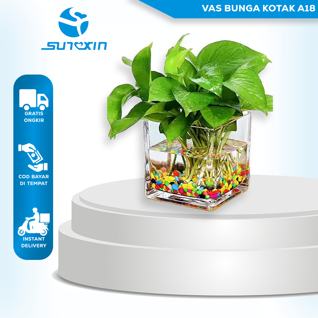 Jual SUNXIN VAS BUNGA KOTAK A18/ VAS TANAMAN AIR / VAS AESTHETIC / VAS ...
