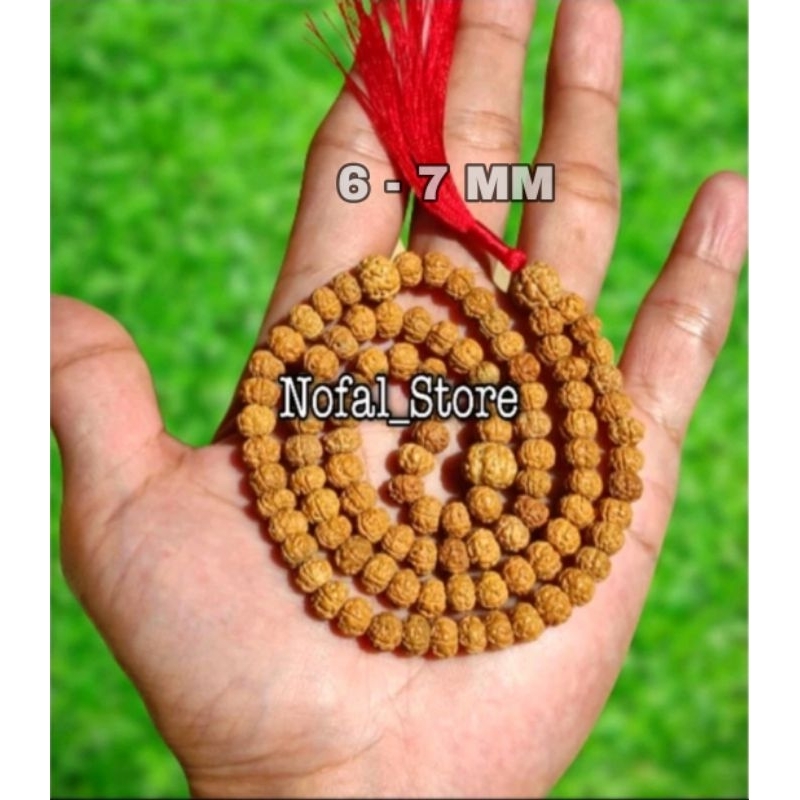 Jual TASBIH 99 JENITRI RUDRAKSHA GENITRI 6-7 MM TASBEH | Shopee Indonesia