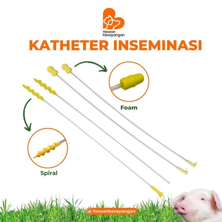 Jual Aneka Varian Kateter Inseminasi Babi - Insemination Catheter ...