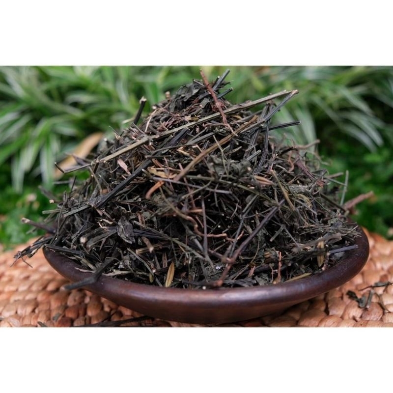 Jual Daun Sambiloto/Sambiroto Kering Super Mutu A/1 kg Organik | Shopee ...