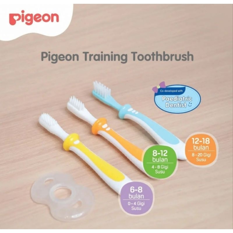 Jual Sikat Gigi Pigeon / Pigeon Baby Training Tootbrush/ Pigeon Lesson ...