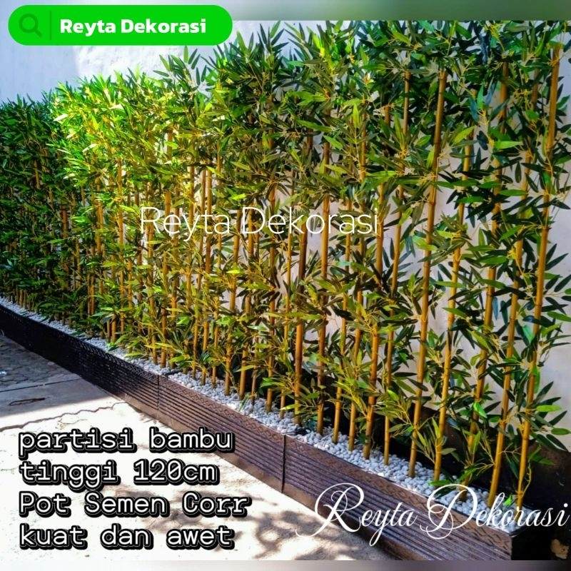 Jual pohon bambu partisi pot semen Corr tinggi 120cm - bambu hias ...