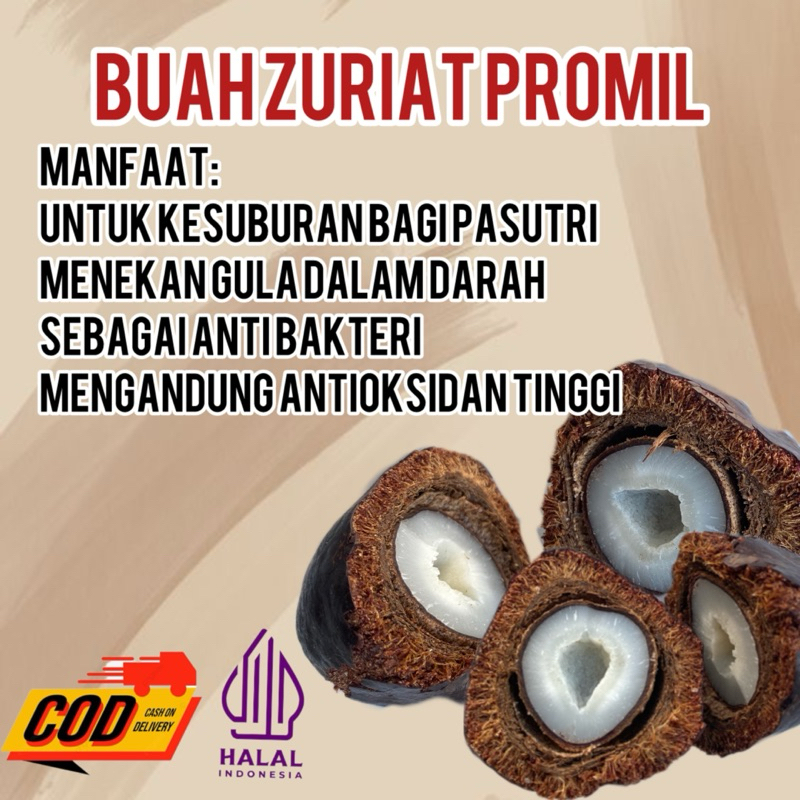 Jual Buah Zuriat PREMIUM PROMIL 1kg | Shopee Indonesia