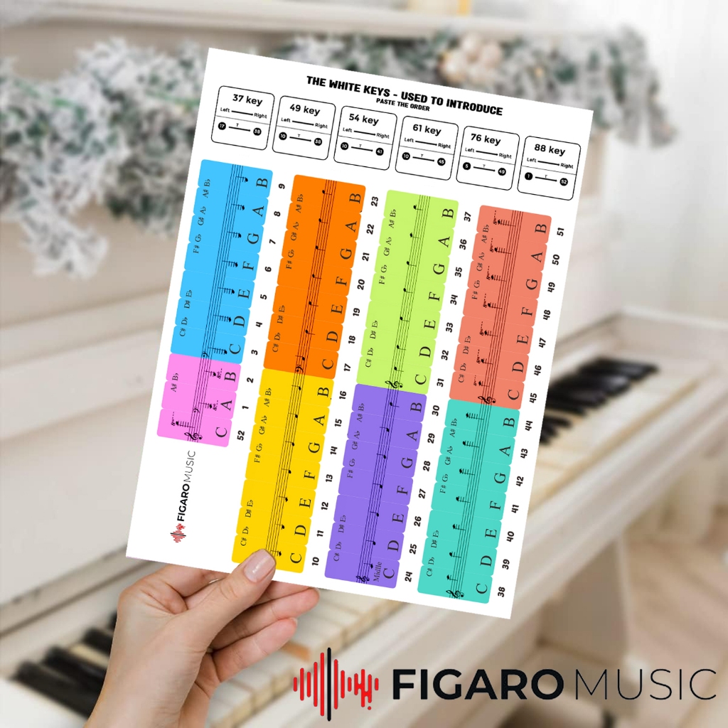 Jual Stiker Piano Colorful Piano Stickers Keyboard 88 61 54 49 44 37 ...