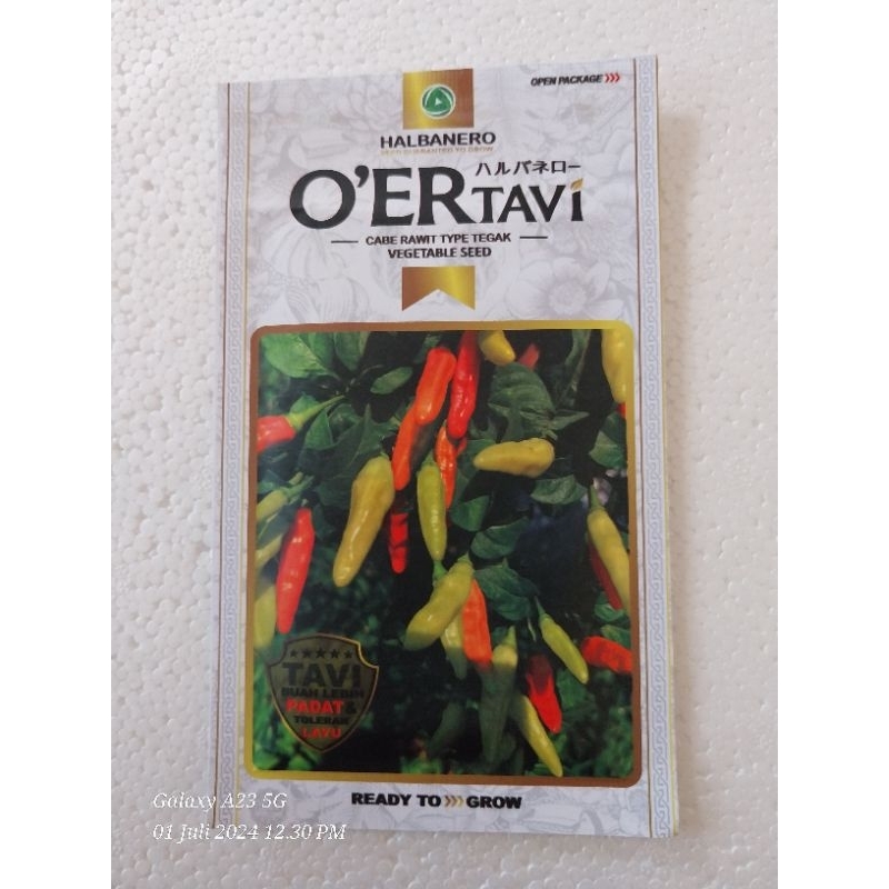 Jual benih cabe oer tavi kemasan 10 gram asli halbanero | Shopee Indonesia