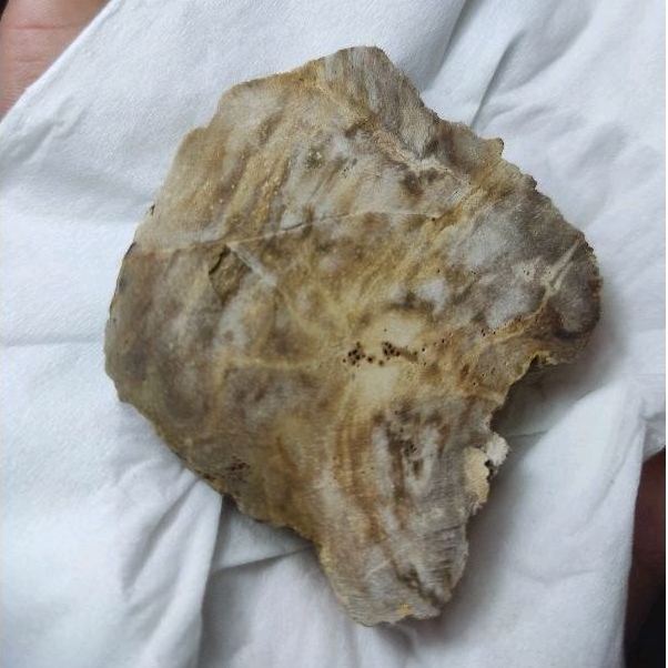 Jual Bahan batu fokay posil kayu serat unik | Shopee Indonesia